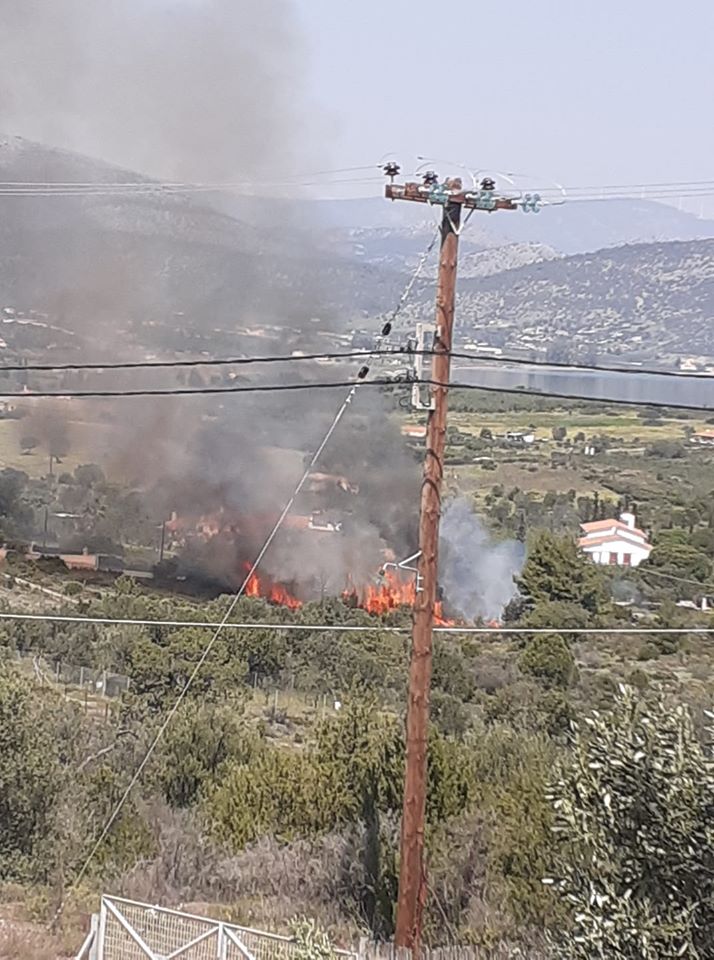 Ιχνηλάτες Ερμιονίδας : Πυρκαγιά στην Ερμιόνη Αργολίδας(αντιμετωπίστηκε)
